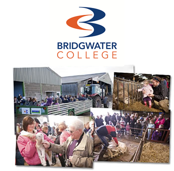 Bridgwater College