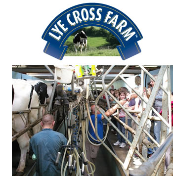 Lye Cross Farm